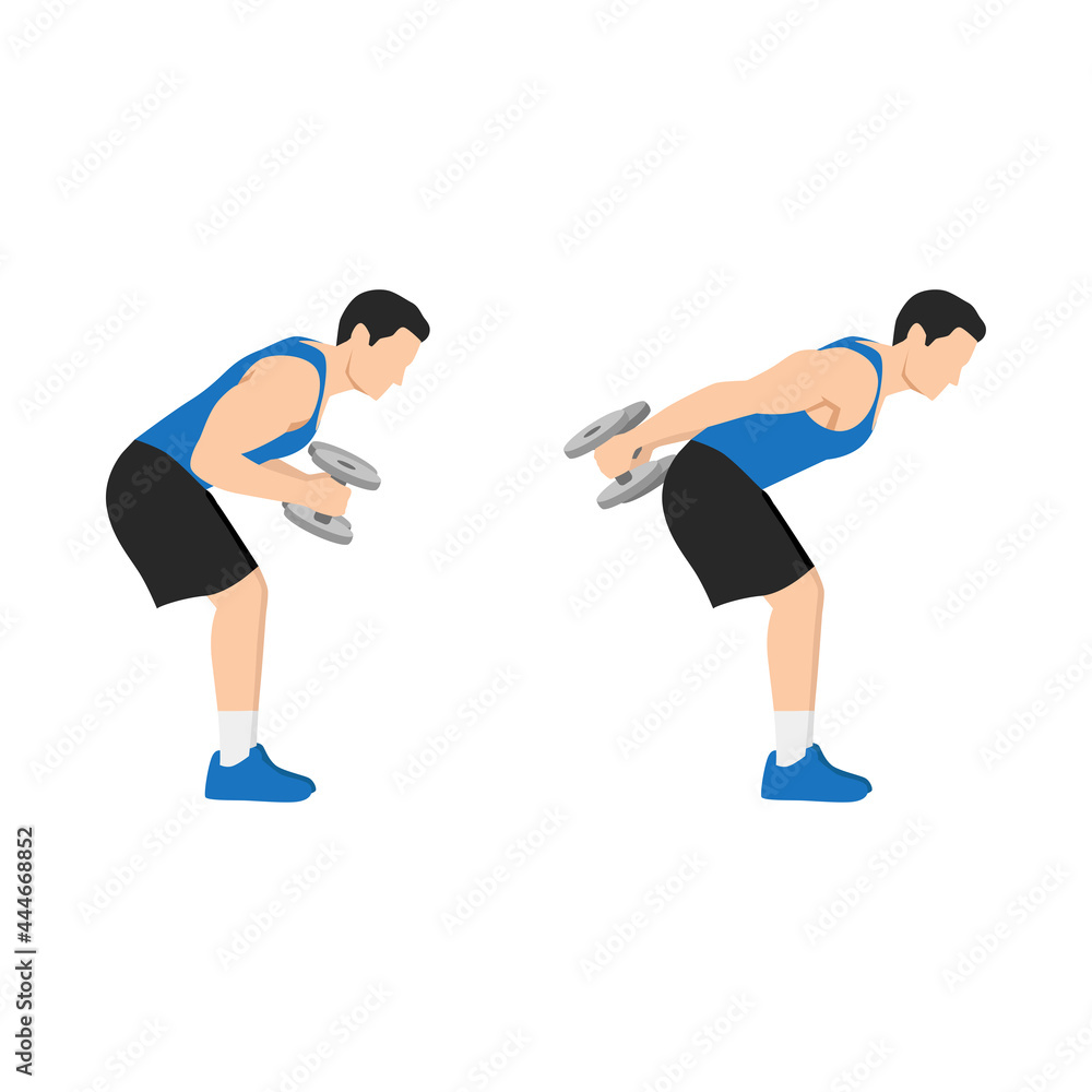 Man doing Bent over double arm tricep kickbacks exercise. Flat vector illustration isolated on ...