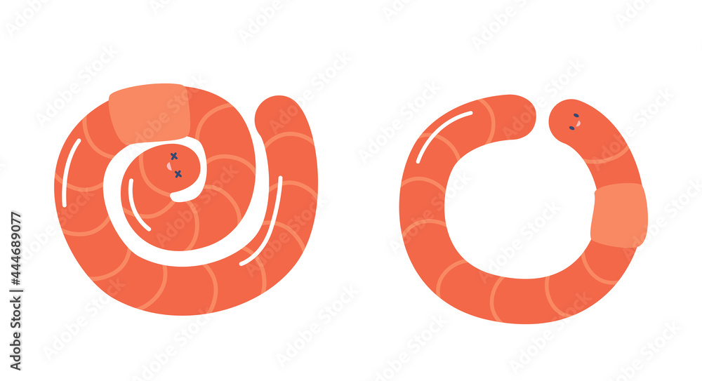 Earth Worms Spiral and Circle Shapes, Soil Earthworms, Pink or Red ...