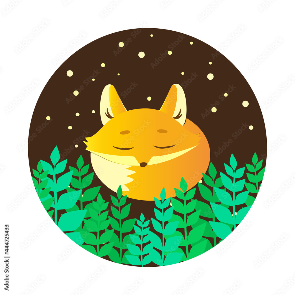 Cute fox sleeps curled up at night in the grass in the meadow. Stars ...