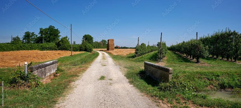 campagna Stock Photo | Adobe Stock