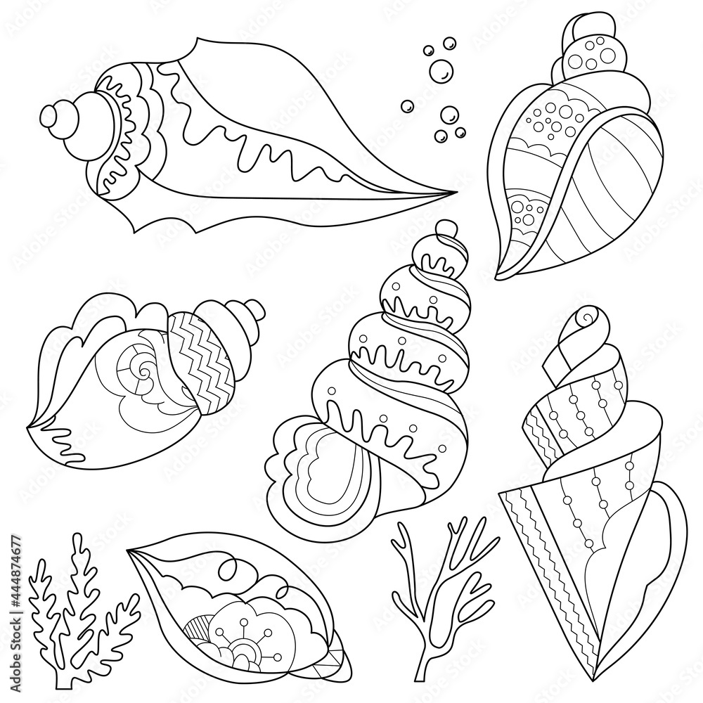 Contour linear illustration with shell set. Cute shells, anti stress ...