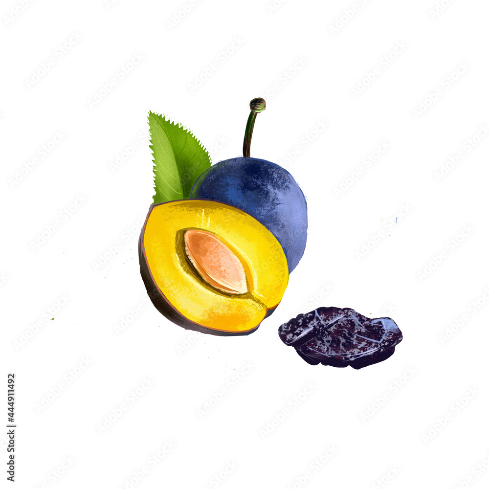 Damson or damsonplum, damascene isolated fruit whole and half with ...