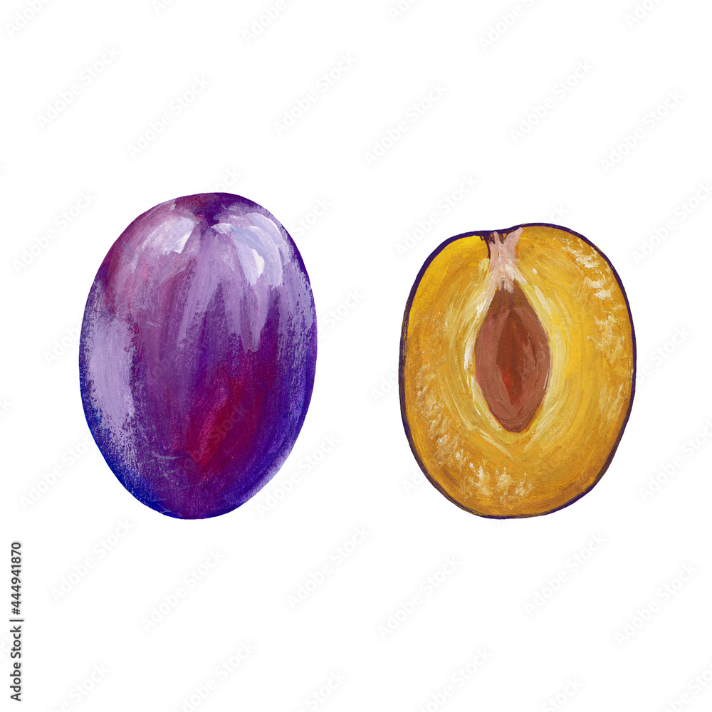 ripe blue plum and its cut half with a seed - realistic drawing ...