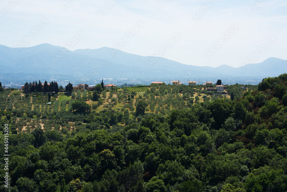 Collodi è la città natale di Pinocchio. È un borgo medievale in Italia ...