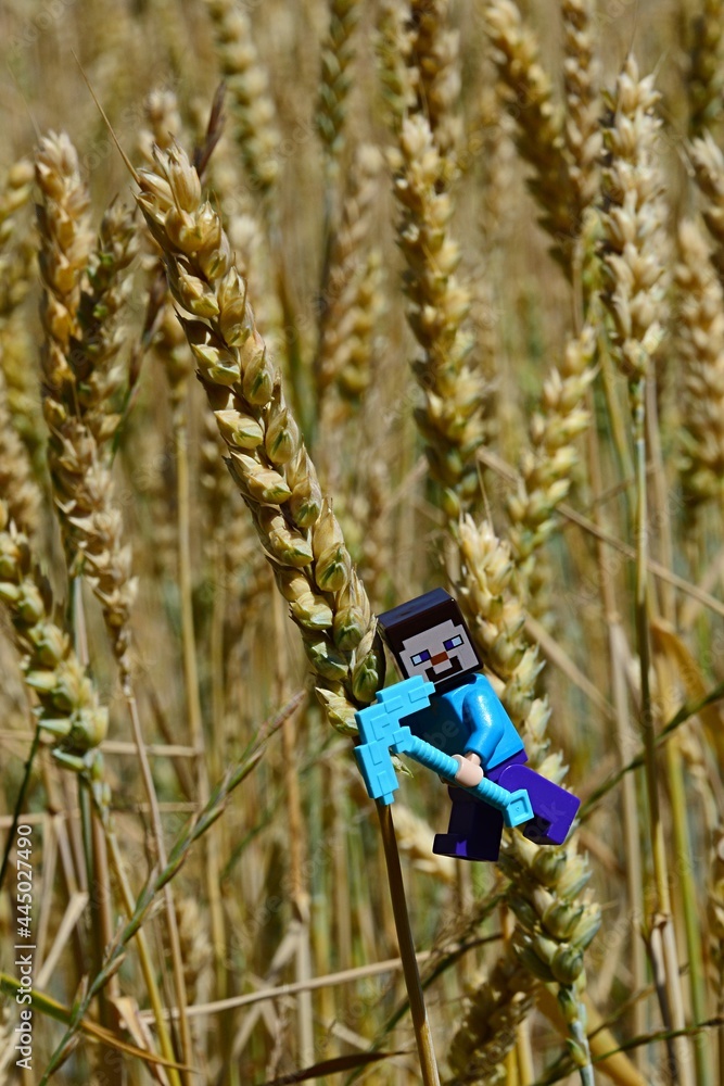 Foto Stock LEGO Minecraft figure of Steve with diamond pickaxe climbing ...