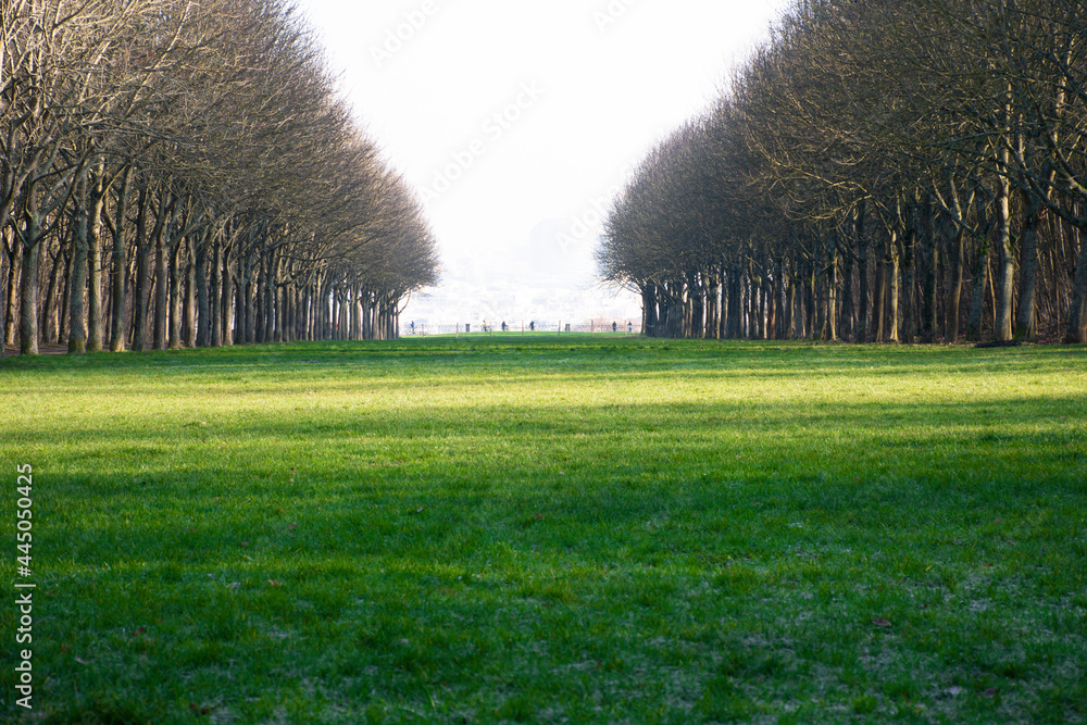 one-point perspective landscape of Saint-Cloud park Stock Photo | Adobe ...