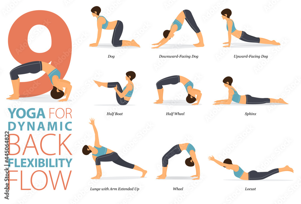 5 Yoga poses or asana posture for workout in back flexibility concept ...