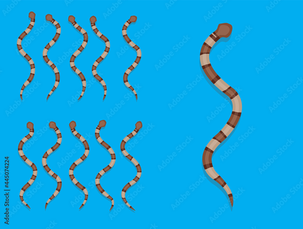 Animal Animation Sequence Copperhead Snake Cartoon Vector Stock Vector ...