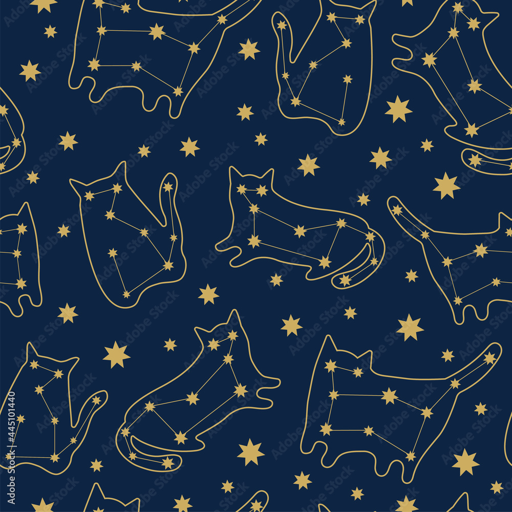 Seamless pattern in the constellation of cats. Hand draw style. Night ...
