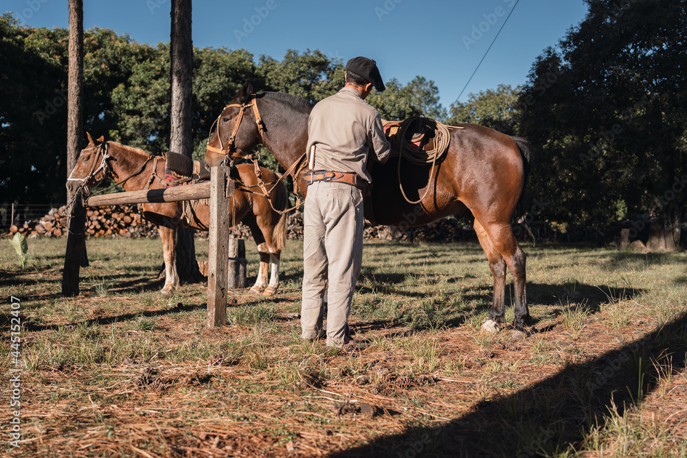 Argentine gaucho with horses wearing work clothes, with gaucho panties ...