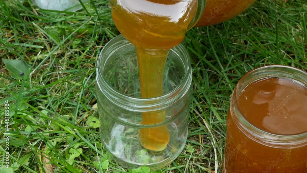 Beekeeper is pouring fresh organic honey in glass jars. Harvesting ...