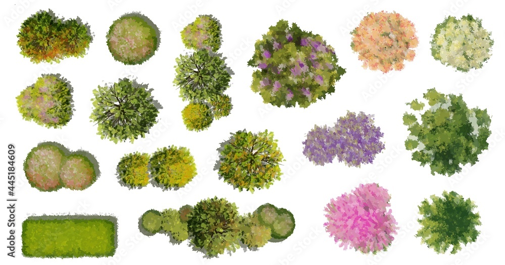 Vector of abstract watercolor tree top view isolated on white ...