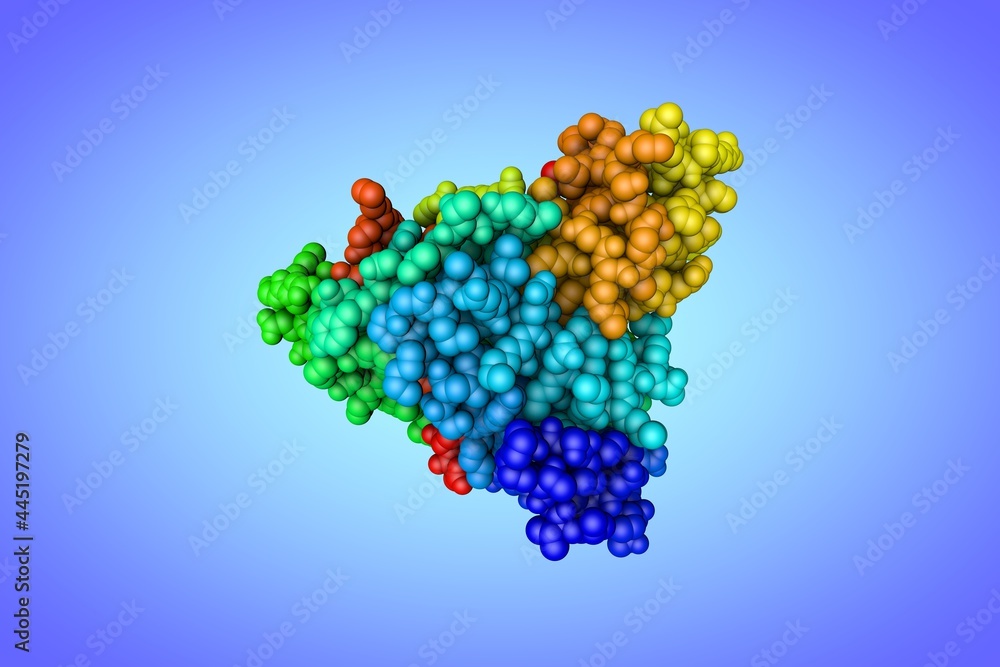 Human methionine aminopeptidase-2, an enzyme that in humans is encoded ...