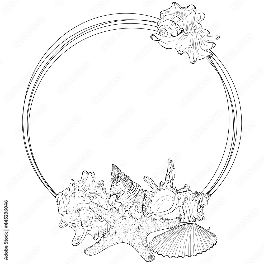 Round shape frame from hand drawn sea shells and starfish. Vector ...