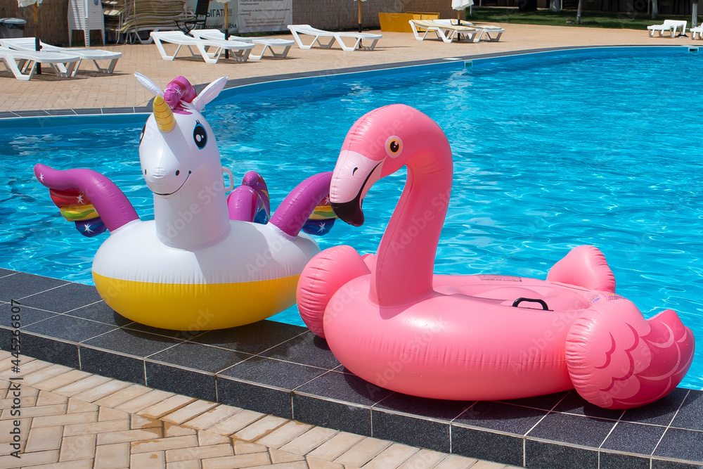 Unicorn and flamingo pool floats in blue water background, inflatable ...