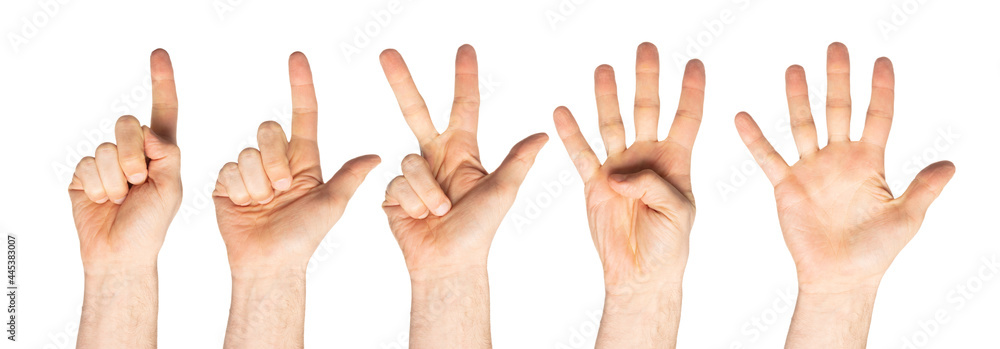 One to five fingers count hand gesture isolated Stock Photo | Adobe Stock