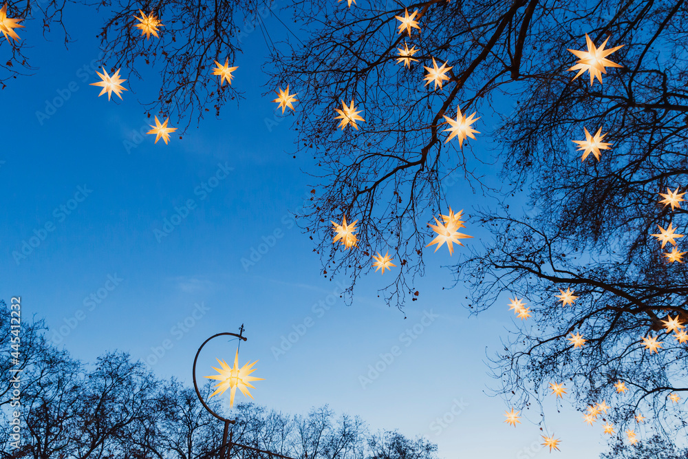 Illuminated Christmas stars hanging in tree branches Stock Photo ...