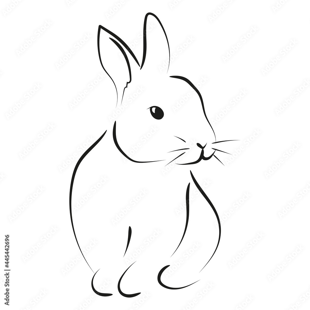 Outline drawing of rabbit, vector illustration Stock Vector | Adobe Stock