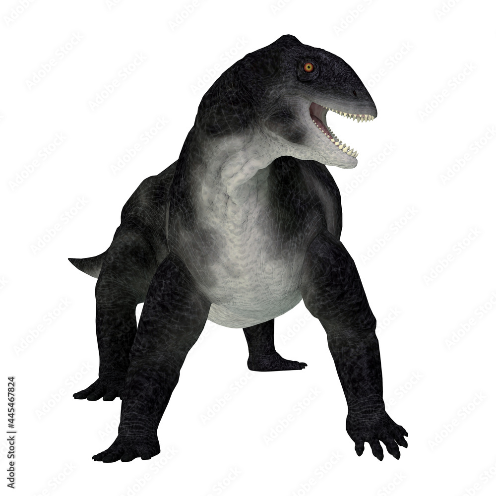 Delphinognathus Synapsid on White - Delphinognathus was a synapsid ...