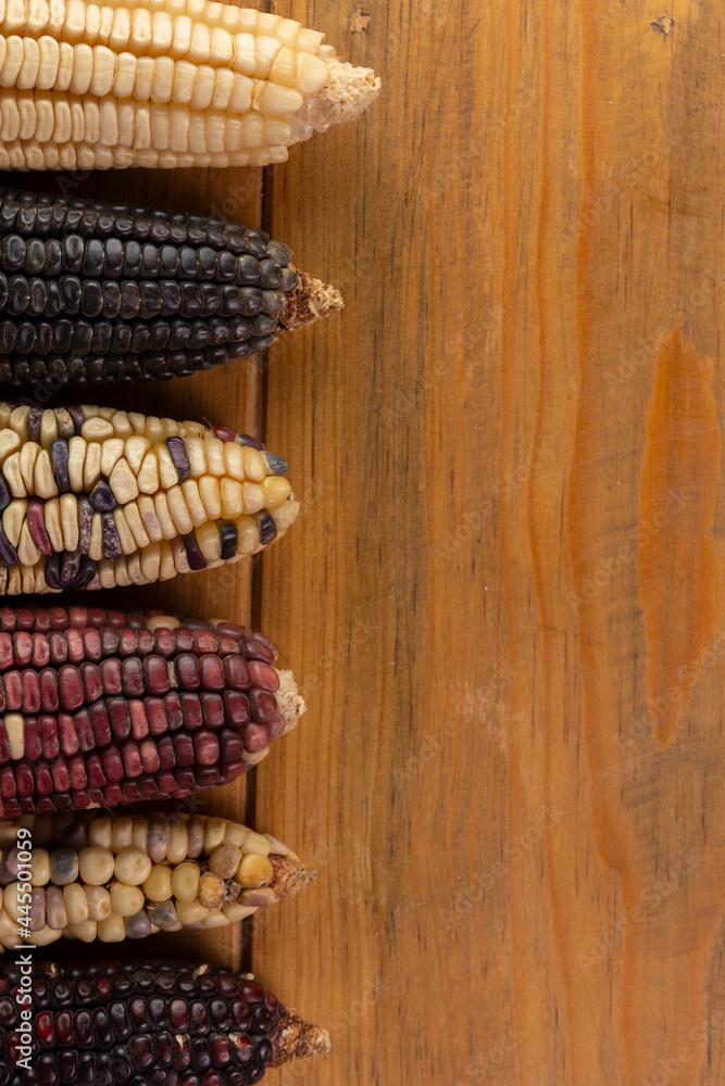 Maiz Criollo Stock Photo | Adobe Stock