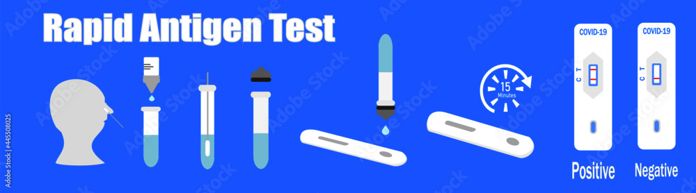 Covid-19 Rapid Antigen test procedure .Vector. illustration Stock ...