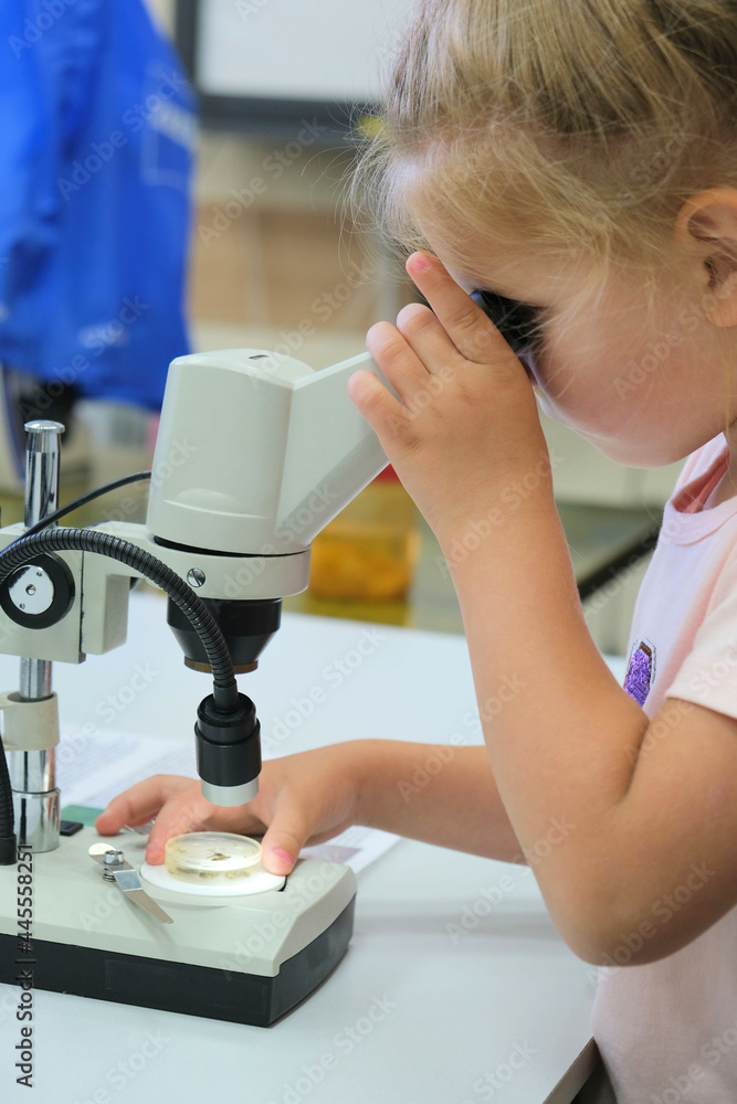 Little girl conducts experiment with microscope, looks through a ...