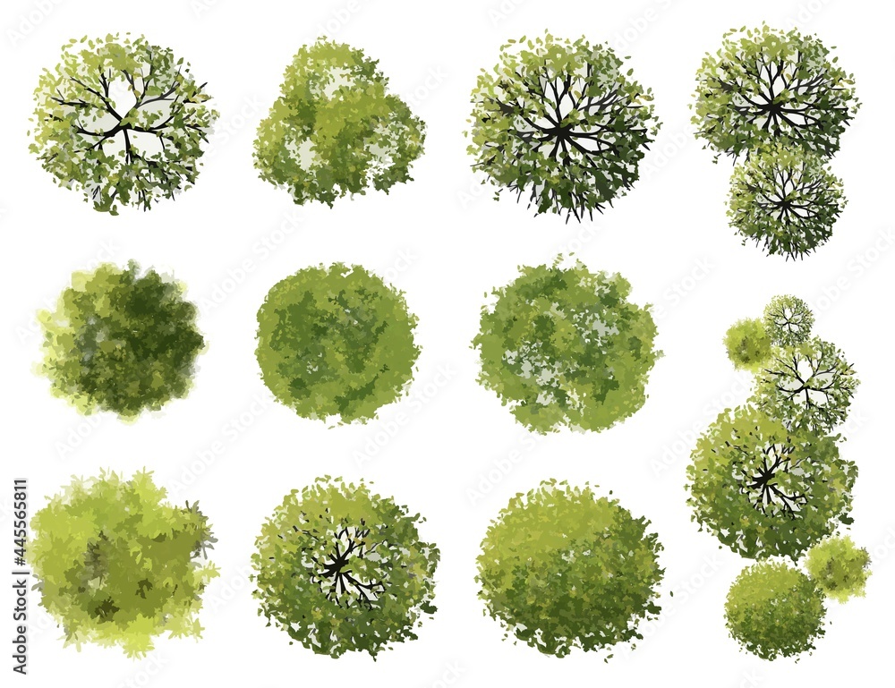 Vector tree top view isolated on white background for landscape plan ...