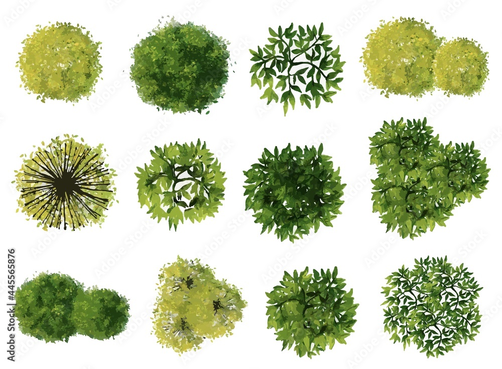Vector watercolor tree top view isolated on white background for ...