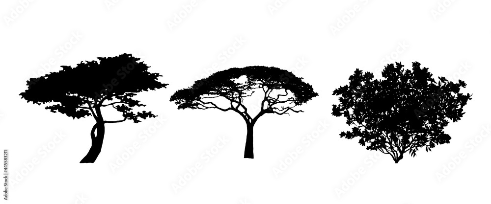 Vetor de Tree Set. Different Tree Silhouette. Isolated on White ...
