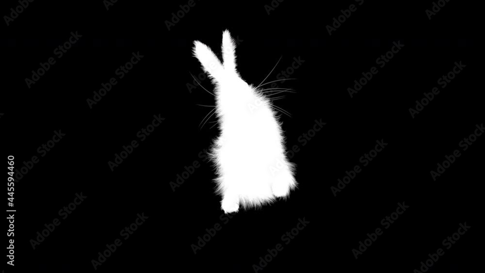 Rabbit Dancing CG fur, 3d rendering, animal realistic CGI VFX ...