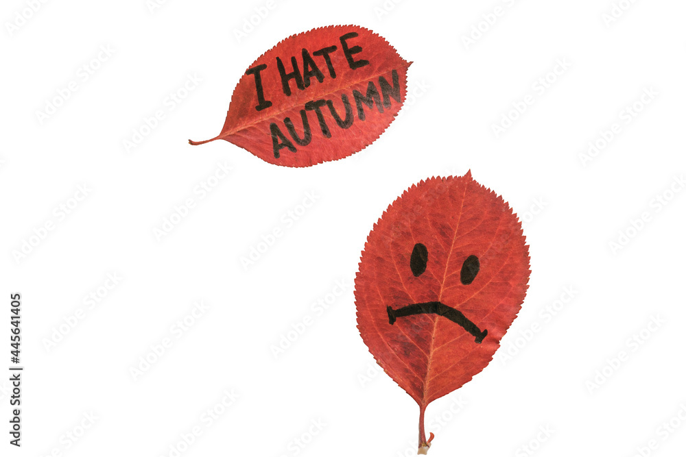 Leaves with painted sad face and inscription text - i hate autumn ...