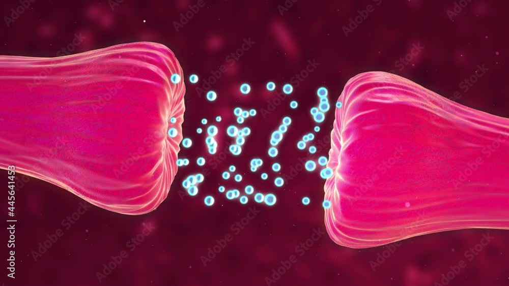 Neuronal and Synapse Activity animation showing chemical messengers or ...