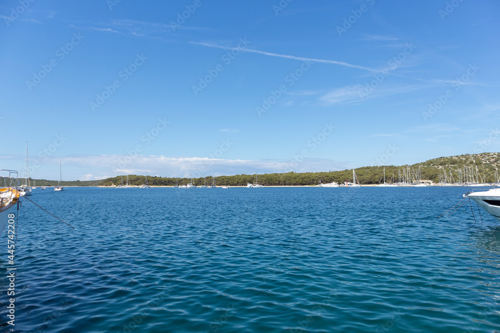 Beautiful peninsula covered with dense, green, pine forest at the ...