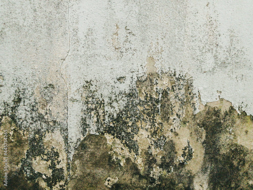 Foto de Paint erosion on aged concrete walls moldy and deteriorate over ...