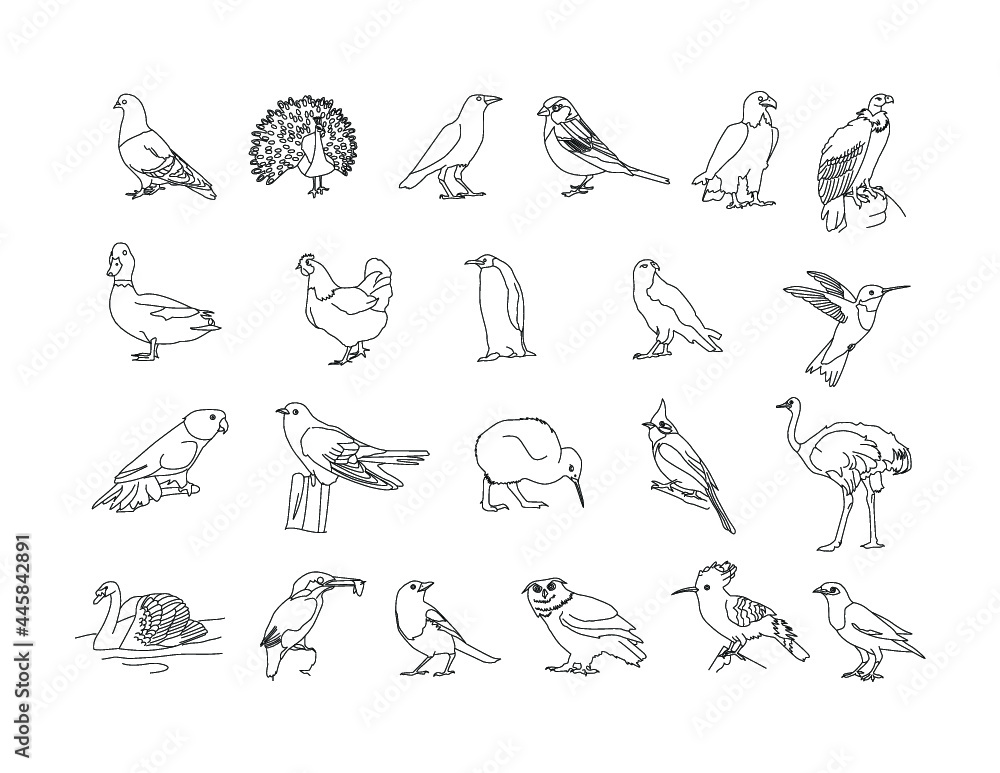 Birds Line Drawing clipart, pakshi - Pigeon, peacock, crow, sparrow ...