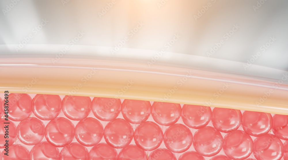 3d skin layer of the skin cell, cell microscope. skin up. 3d rendering ...