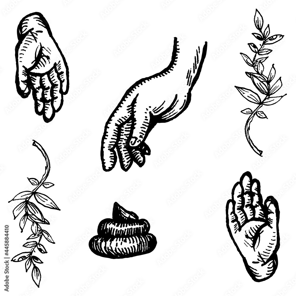 Etched vector illustration. Street art work. Hand drawn ink sketch of ...