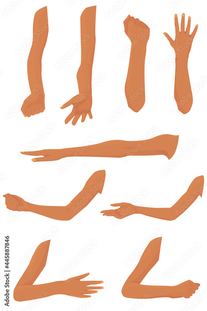 Vecteur Stock set of hands with different gestures isolated on white ...
