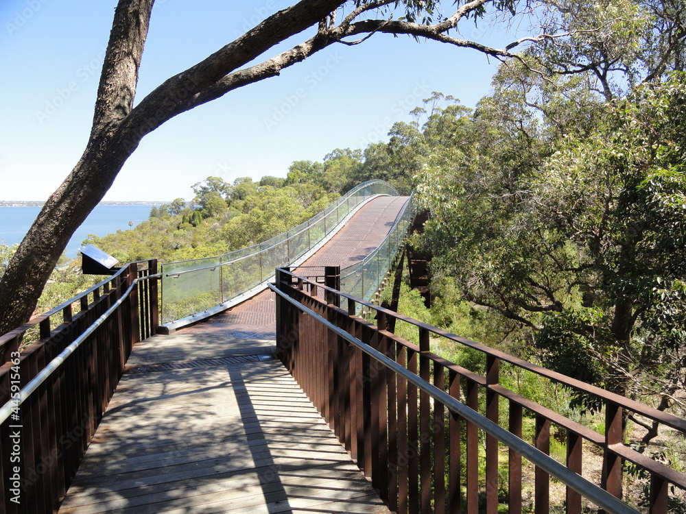 Pedestrian bridge (footbridge) towards the horizon amidst green ...