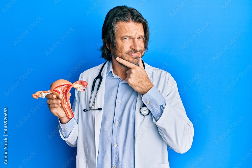 Middle age handsome gynecologist man holding anatomical model of female ...