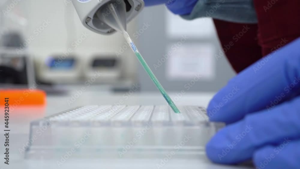 Laboratory researcher, scientist or nurse pipetting chemical reagents ...