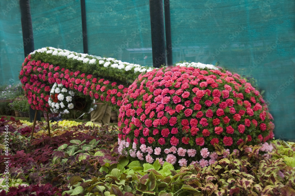 Flower-studded Indian Musical Instrument Veena at Flower Show, Lalbagh ...