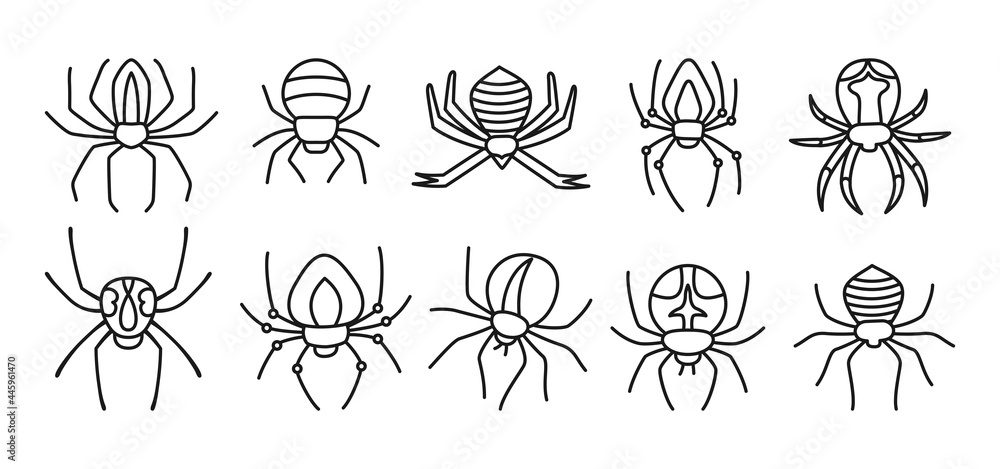 Spider Halloween doodle set. Spooky scary spiders dangerous tarantula ...