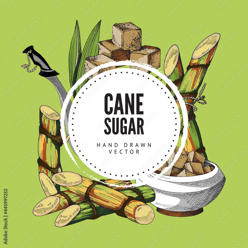 Hand drawn background with round label, place for brand and cane sugar ...