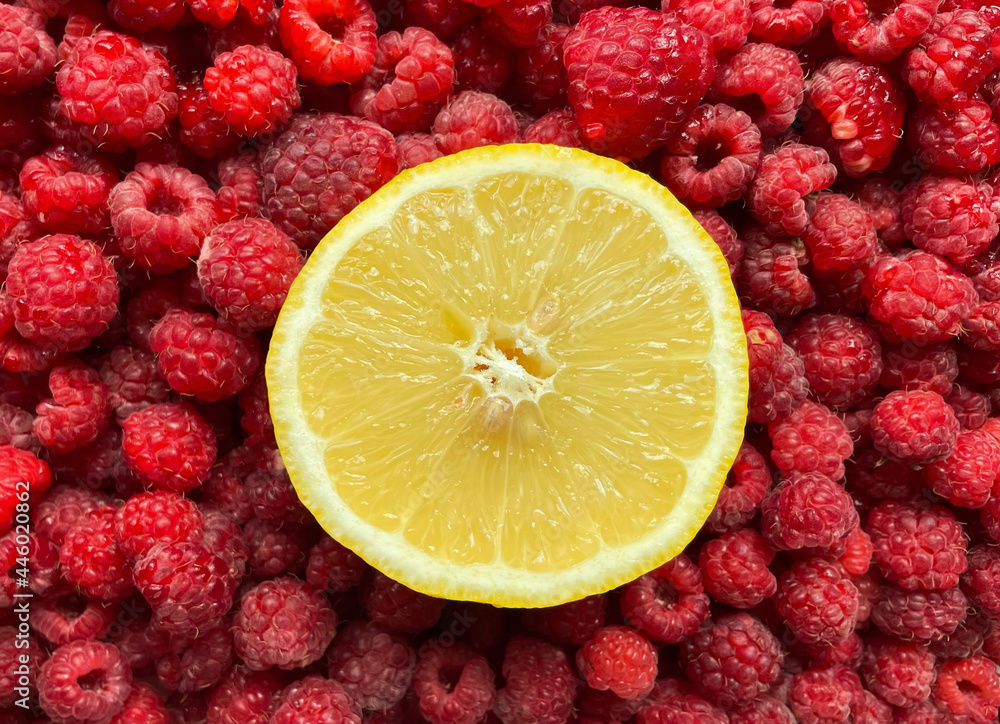 Fresh lemon on raspberry background as package design element, fruit ...