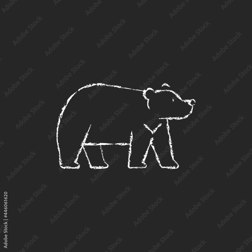 Formosan bear chalk white icon on dark background. White-throated ...