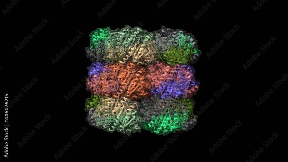 Structure of human peroxiredoxin 3 as three stacked rings, animated 3D ...