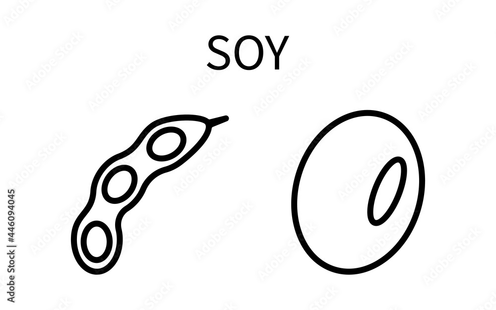Soy Icon