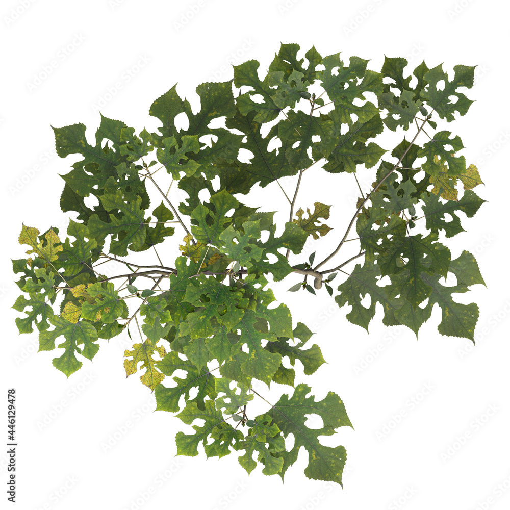 VEGETATION TOP VIEW - TREES AND BUSHES IN PLAN Stock Illustration ...