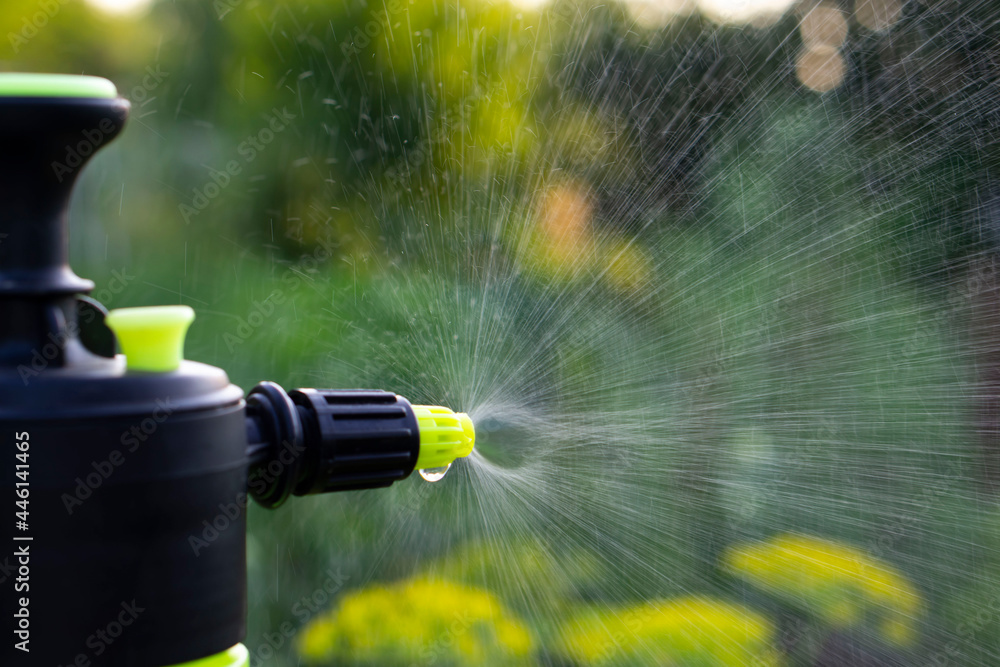 Shot of the spraying a garden plants against plant diseases, bugs and ...